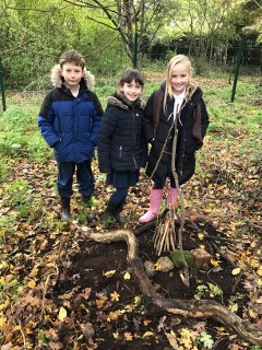 Bengeo Primary School - Forest School